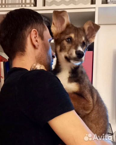 Слепой малыш в добрые руки