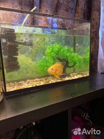 Аквариум на 25литров