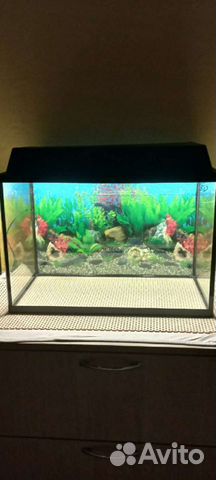 Аквариум