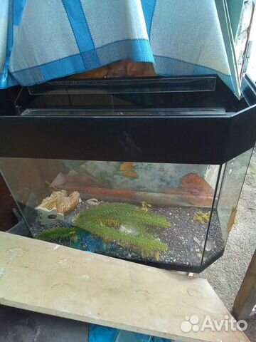Аквариум