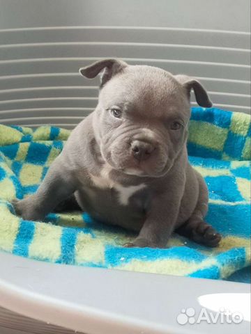 Мальчик Микро сын Magnetara, внук Pulsara