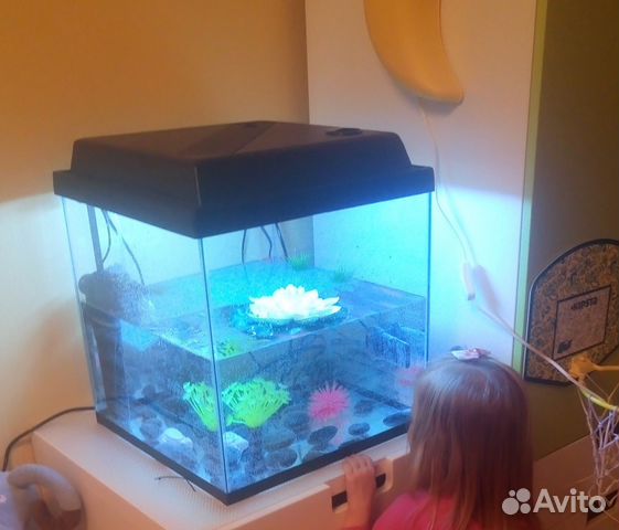 Террариум для черепахи