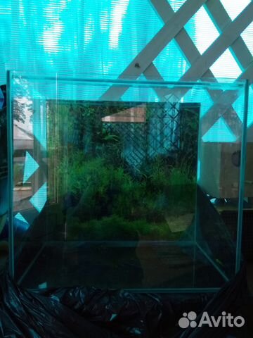 Аквариум