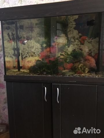 Аквариум