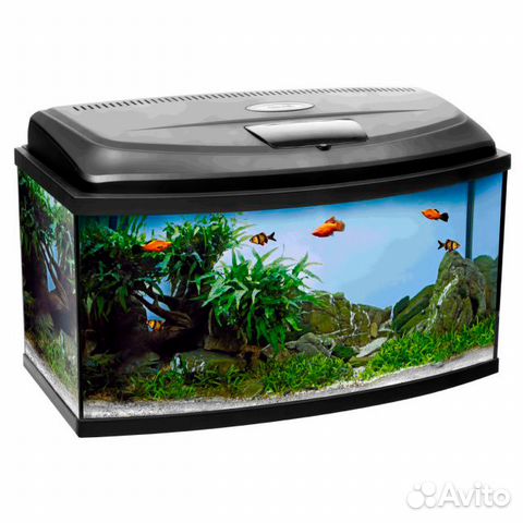 Аквариум Aquael 120 л прямой