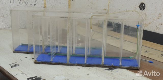 Аквариум для выносной торговли рыбой торг