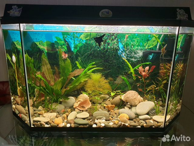 Аквариум с крышкой