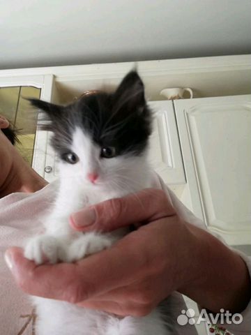 Инопланетянка