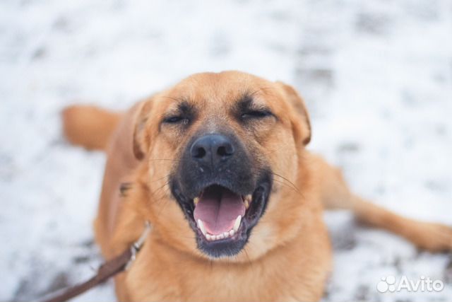 Молодой красивый Кендрик в добрые руки