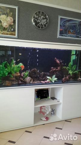 Аквариум 650л полный комплект