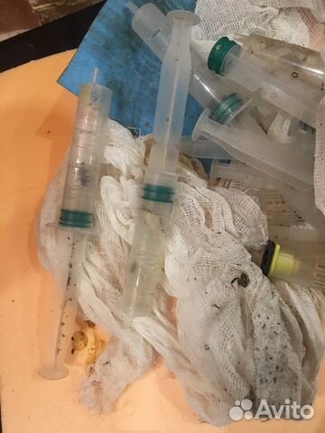 Пчеломатка карпатская