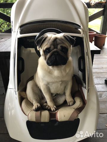 Ищу подружку