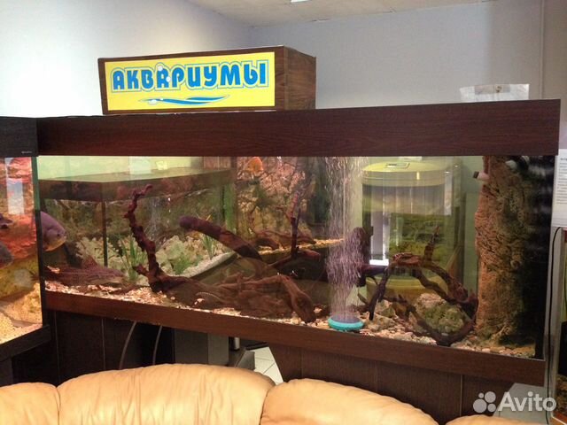 Аквариум ширма 520 л. на подставке венге