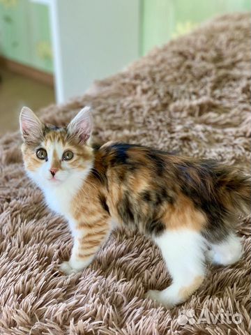 Очаровательная малышка