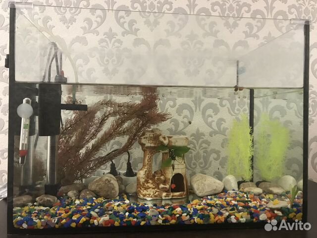 Аквариум,фильтр,украшения