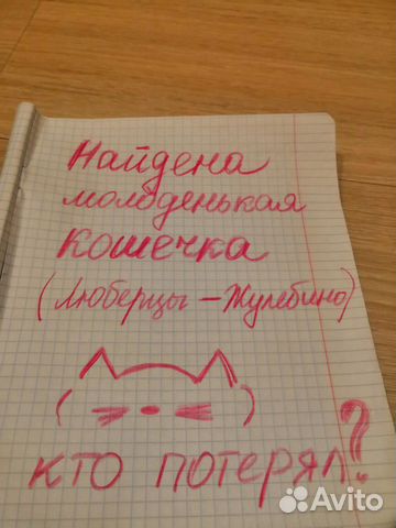 Найдена молоденькая кошечка (потеряшка)