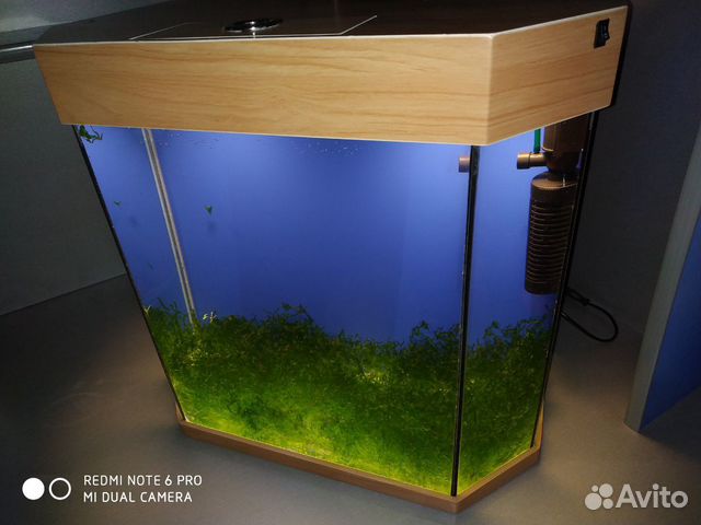 Аквариум