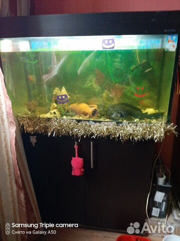 Аквариум с рыбами 120л
