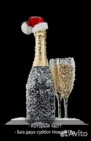 Попугай Коррелла