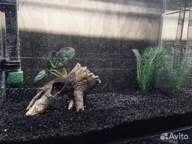 Аквариум с оборудованием