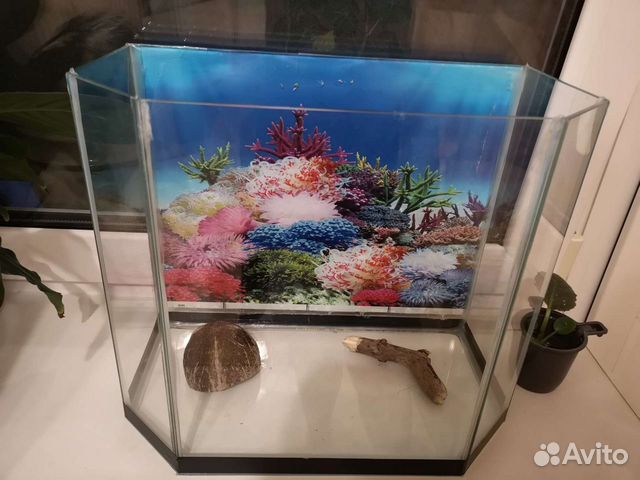 Аквариум