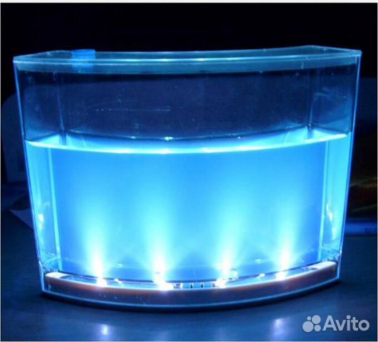 Муравьиная ферма. Формикарий. Муравьи жнецы