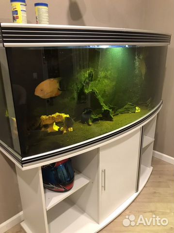 Аквариум 380л с рыбами
