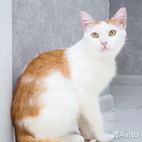 Тимофей. Можно к вам