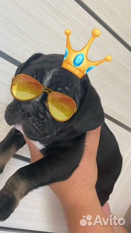 Французское чудо