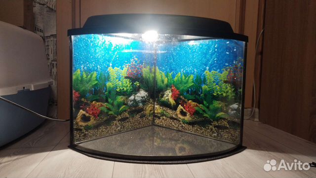 Аквариум угловой 40 литров