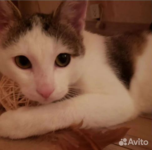 Не сразу понял что предали