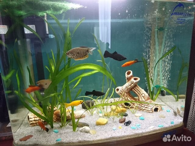 Аквариум jebo R352