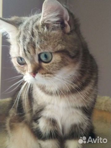 Золотая мраморная девочка