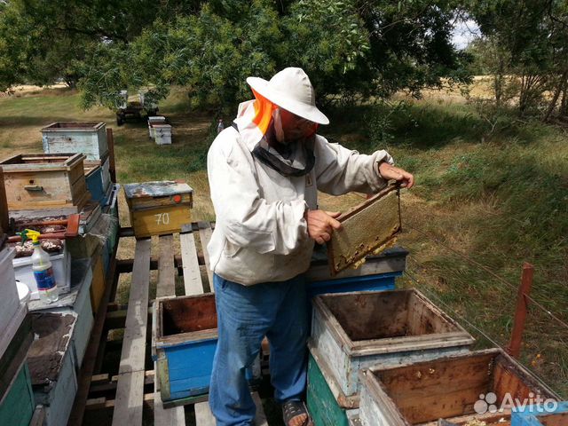 Пчелопакеты