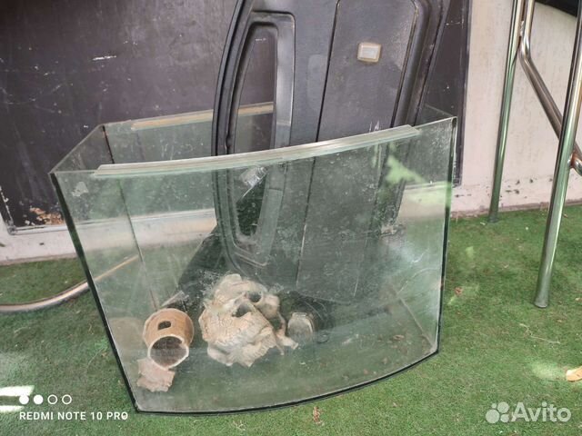 Аквариум в дар