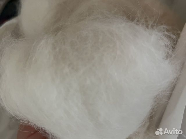 Шерсть самоеда