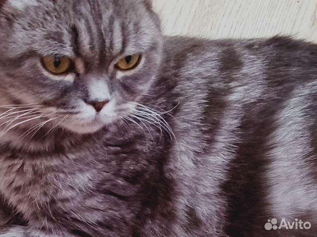 Объявление