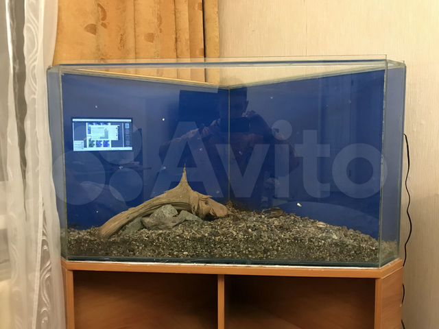 Аквариум угловой