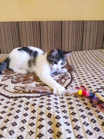 Мальчик Гоша