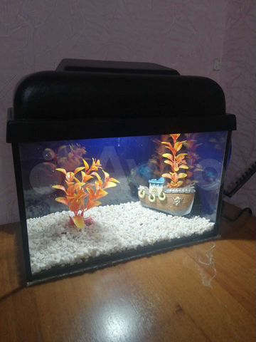 Готовый аквариум