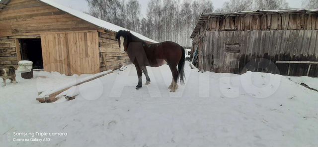 Владимирский тяжеловоз