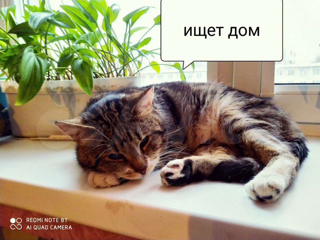 Европейская